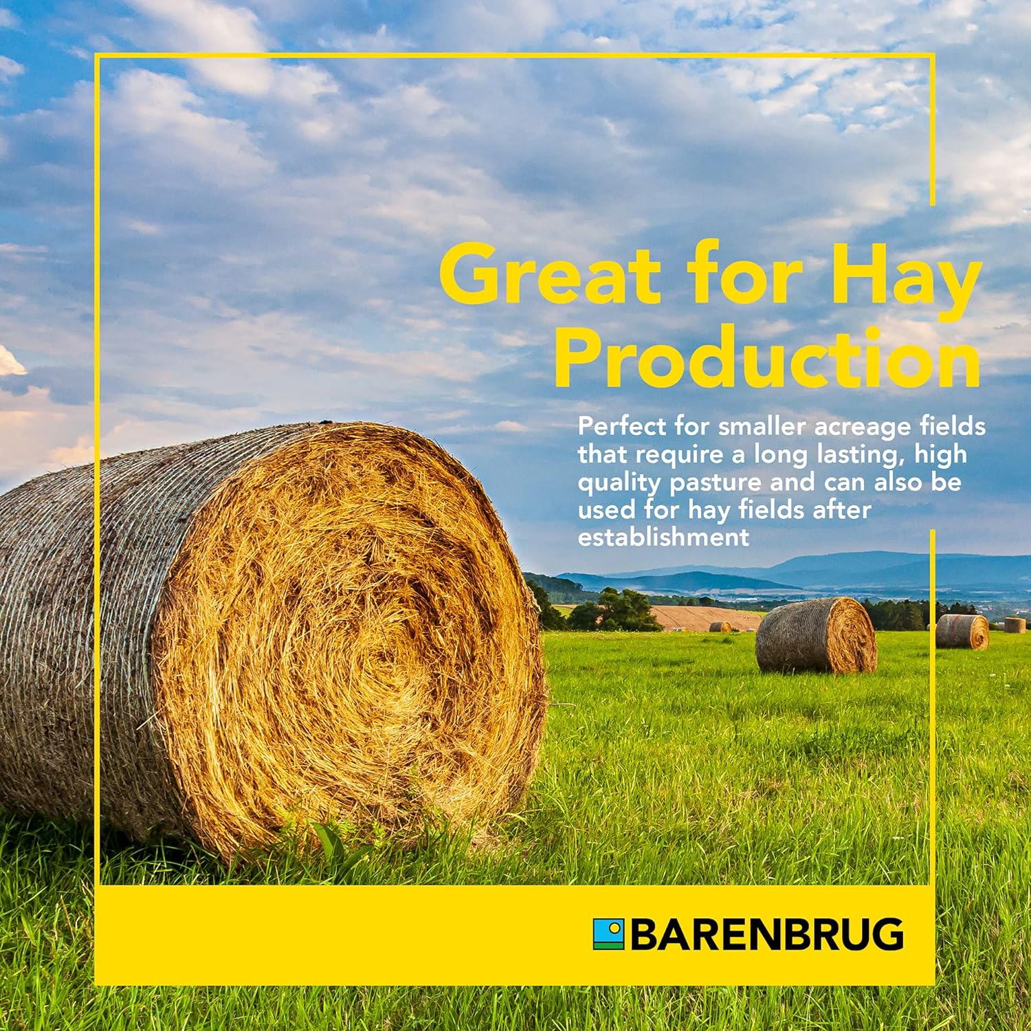 Barenbrug Beefmaster Pro – Sustain Seed + Soil