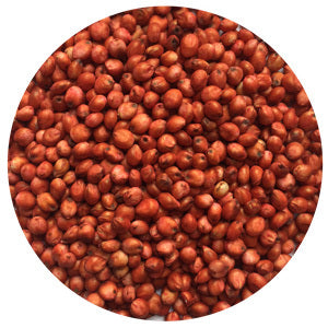 Sorghum Sudangrass, BMR Honey Sweet Hybrid – Sustain Seed + Soil