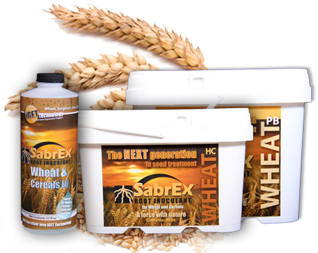 SabrEx LQ for Wheat and Cereals Inoculant (32 fl/oz) – Sustain Seed + Soil