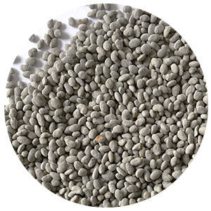 Vernal Alfalfa (C & I) – Sustain Seed + Soil