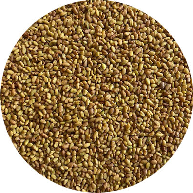 Vernal Alfalfa (Raw) – Sustain Seed + Soil