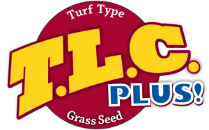 TLC Plus Turf Tall Fescue – Sustain Seed + Soil